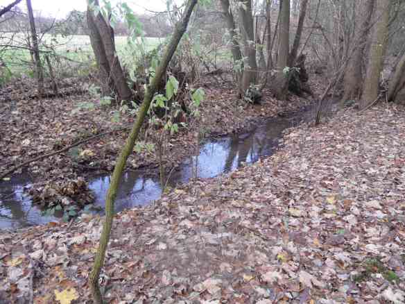 Pipe Hall | Lichfield Lore