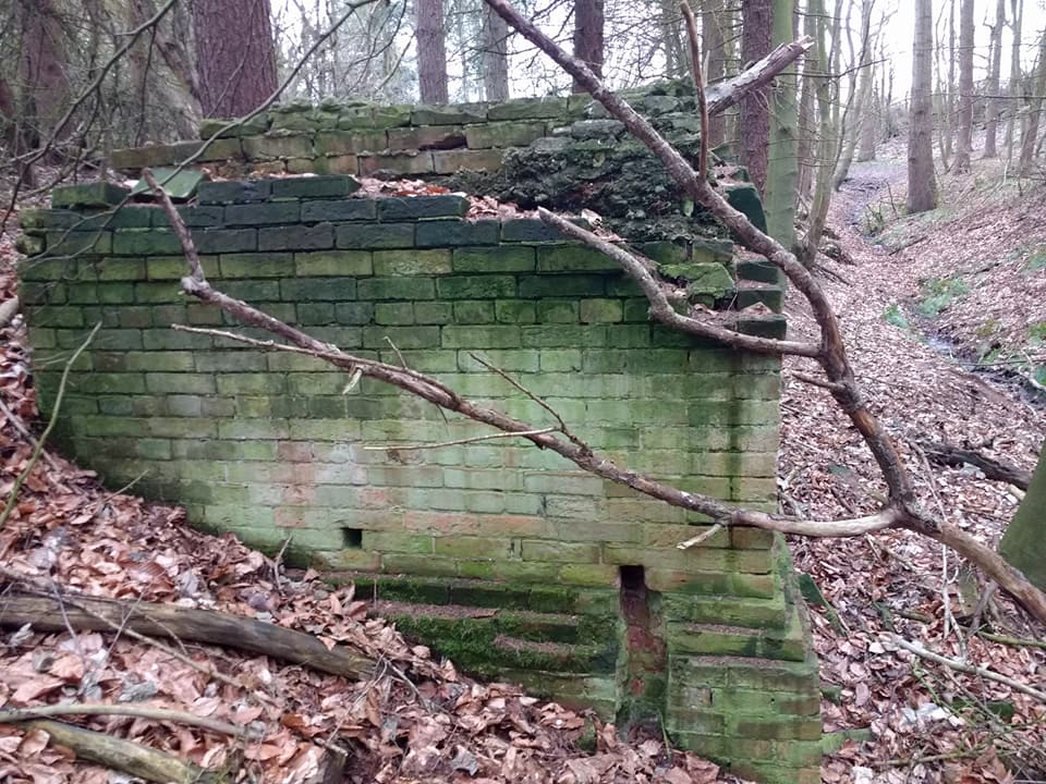 Head Scratching | Lichfield Lore