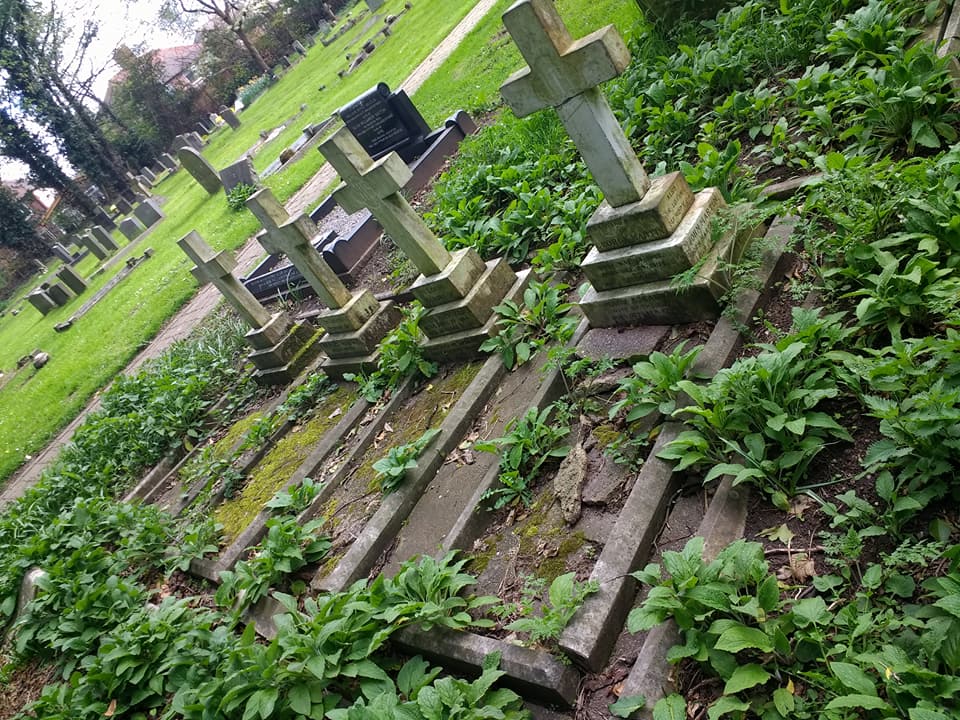 Heath Land | Lichfield Lore